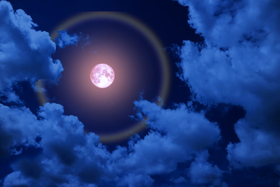 May Flower Moon 2026: What You Can Expect From It!